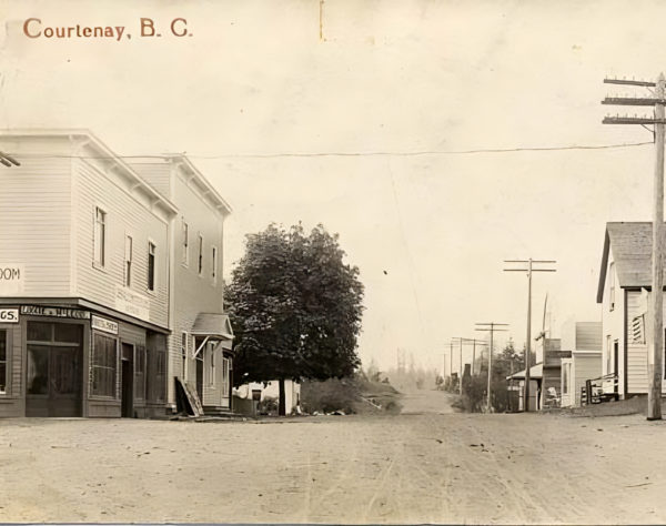 Downtown Courtenay Market Day